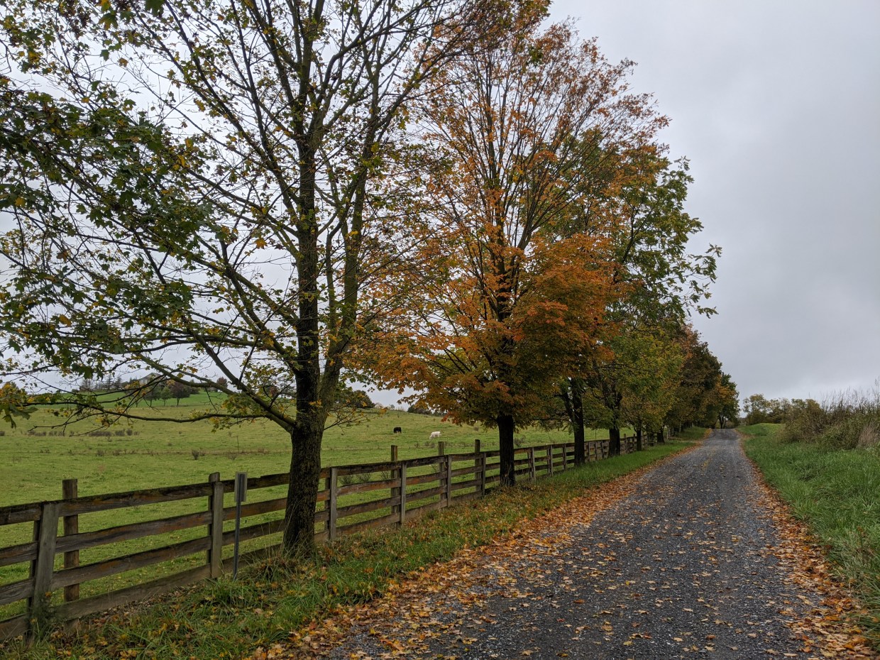 Daily Morning Prayer for Wednesday, November 12 – Virtual Chapel of St ...